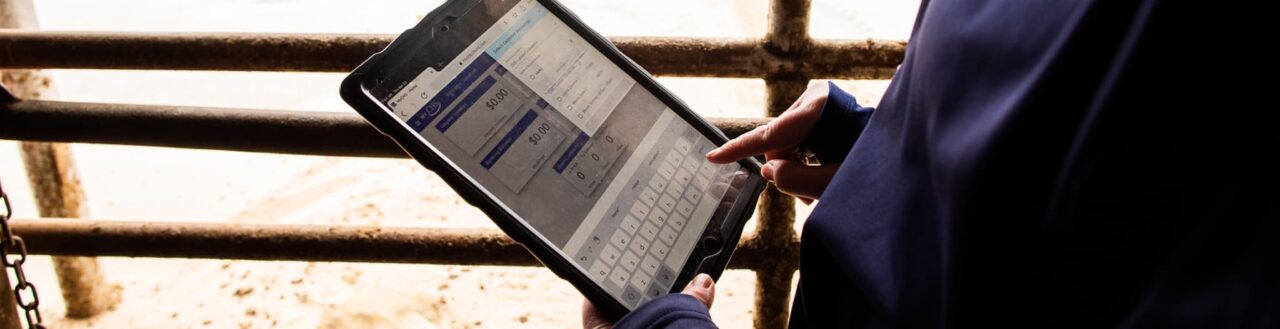 Payback Feed - CHS Mountain West